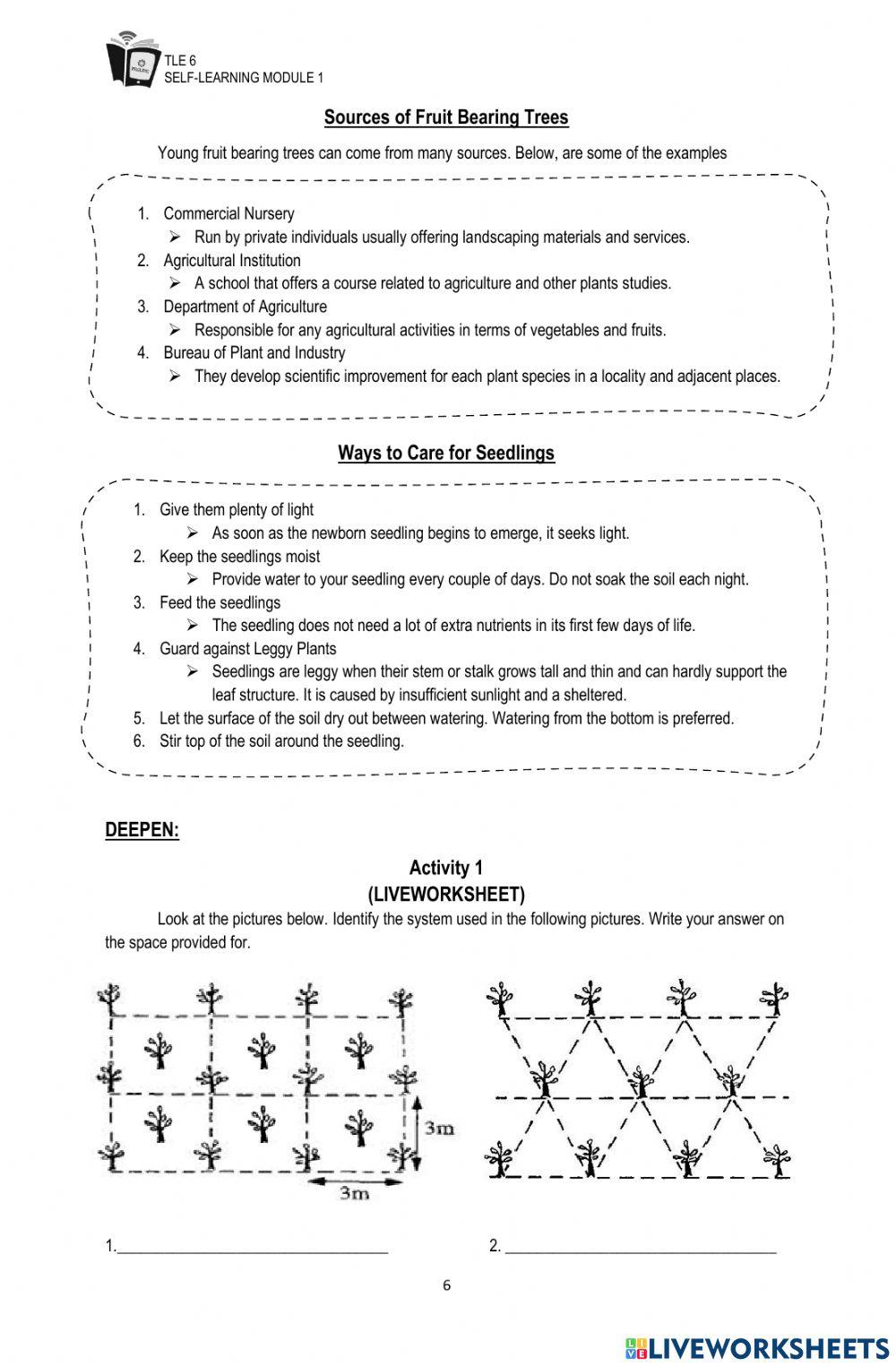Q2-tle-m1 1694468 | sjigrade6 | LiveWorksheets