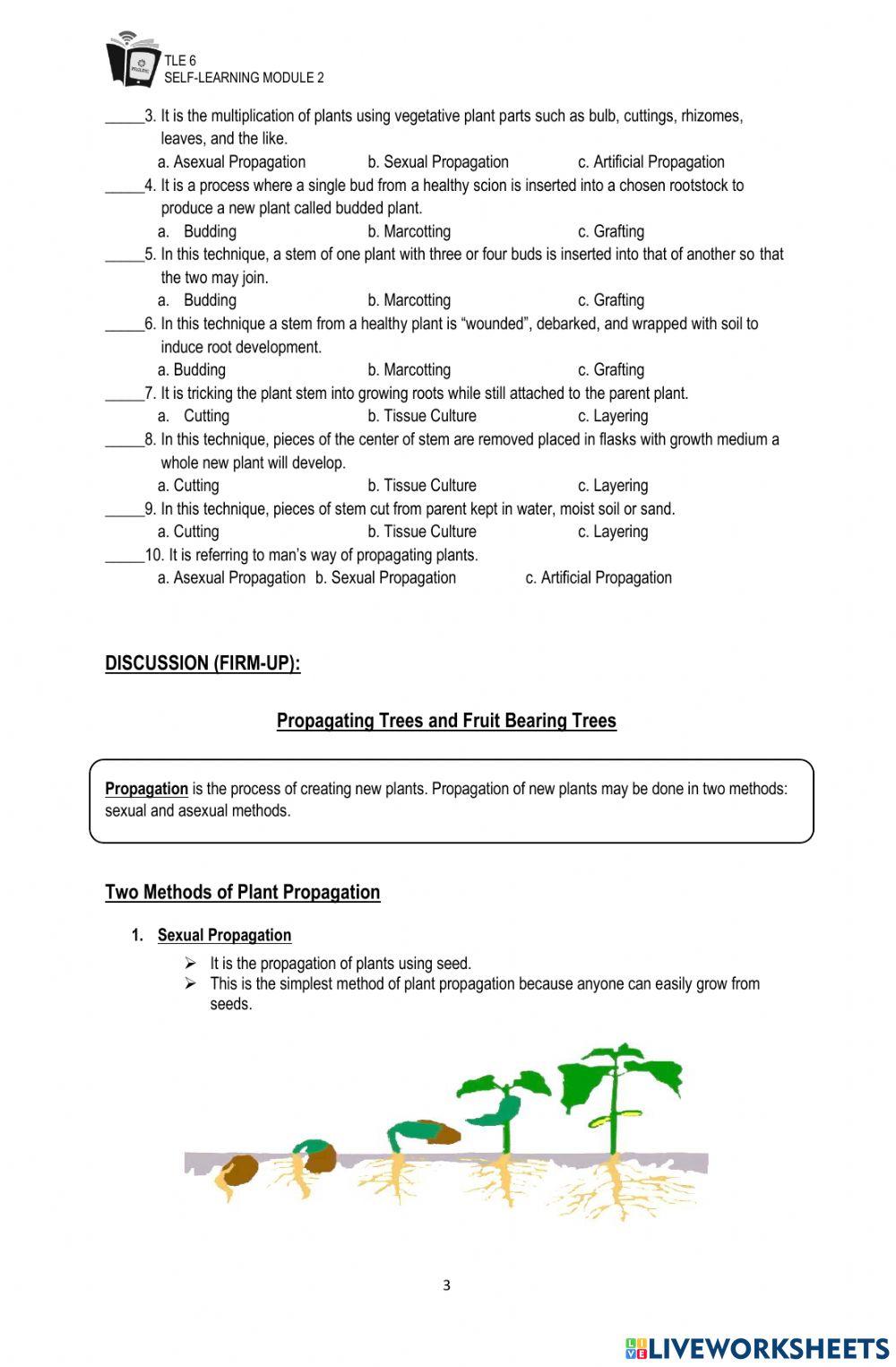 1694589 | Q2-tle-m2 | sjigrade6 | LiveWorksheets
