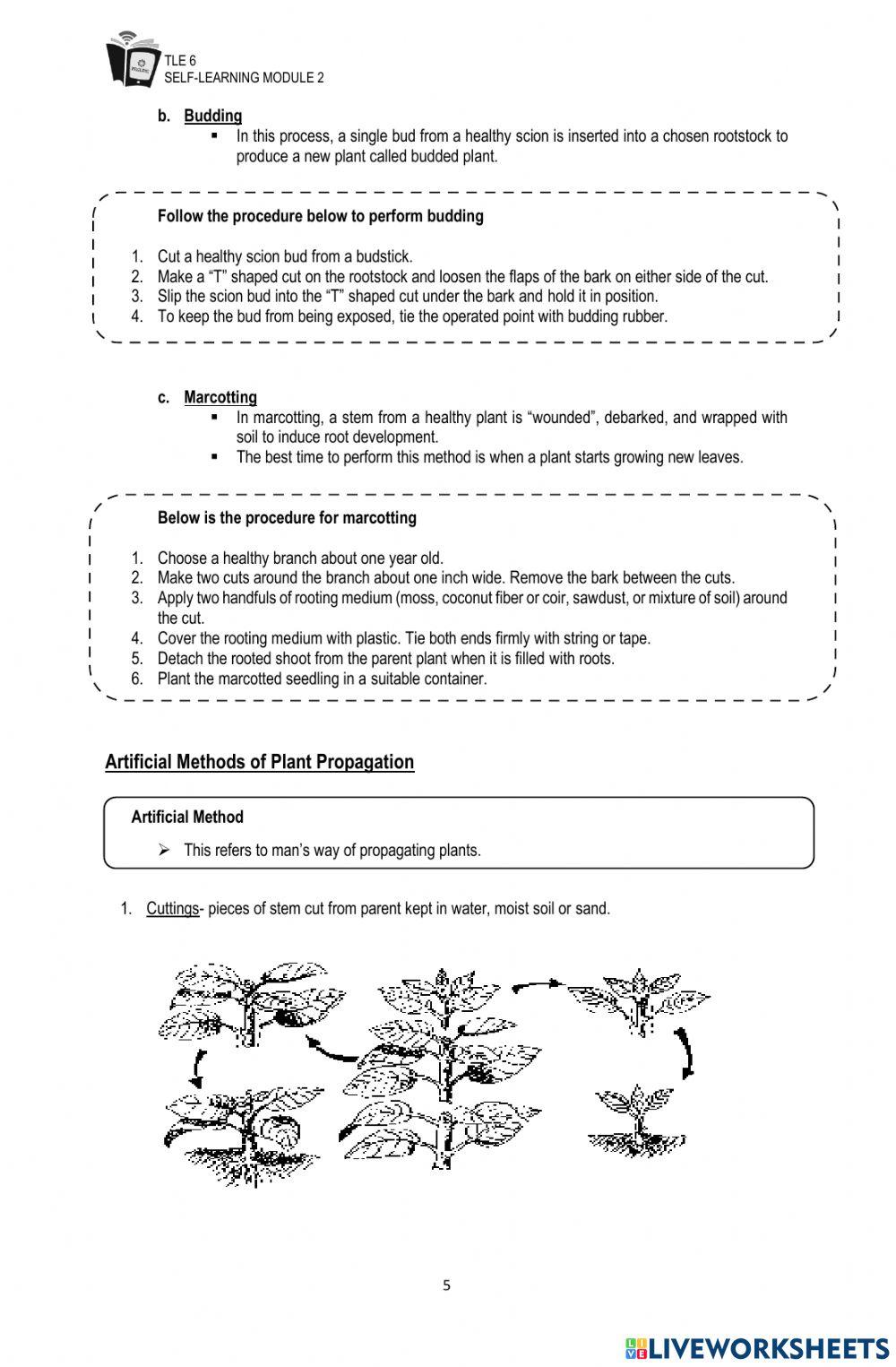 1694589 | Q2-tle-m2 | sjigrade6 | LiveWorksheets