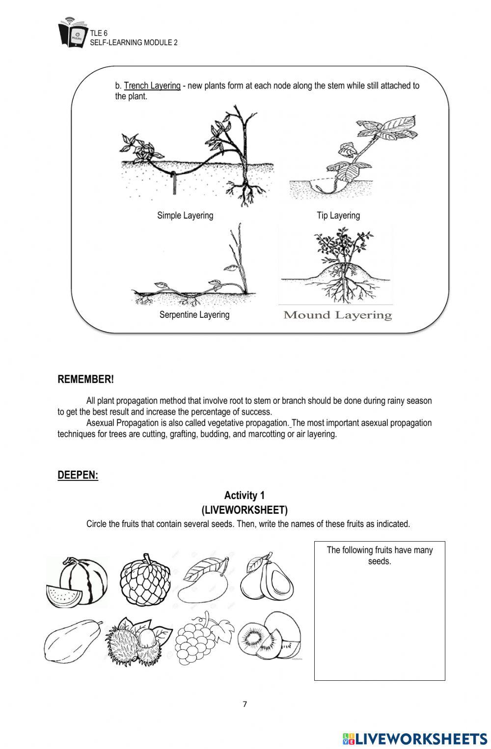 1694589 | Q2-tle-m2 | sjigrade6 | LiveWorksheets
