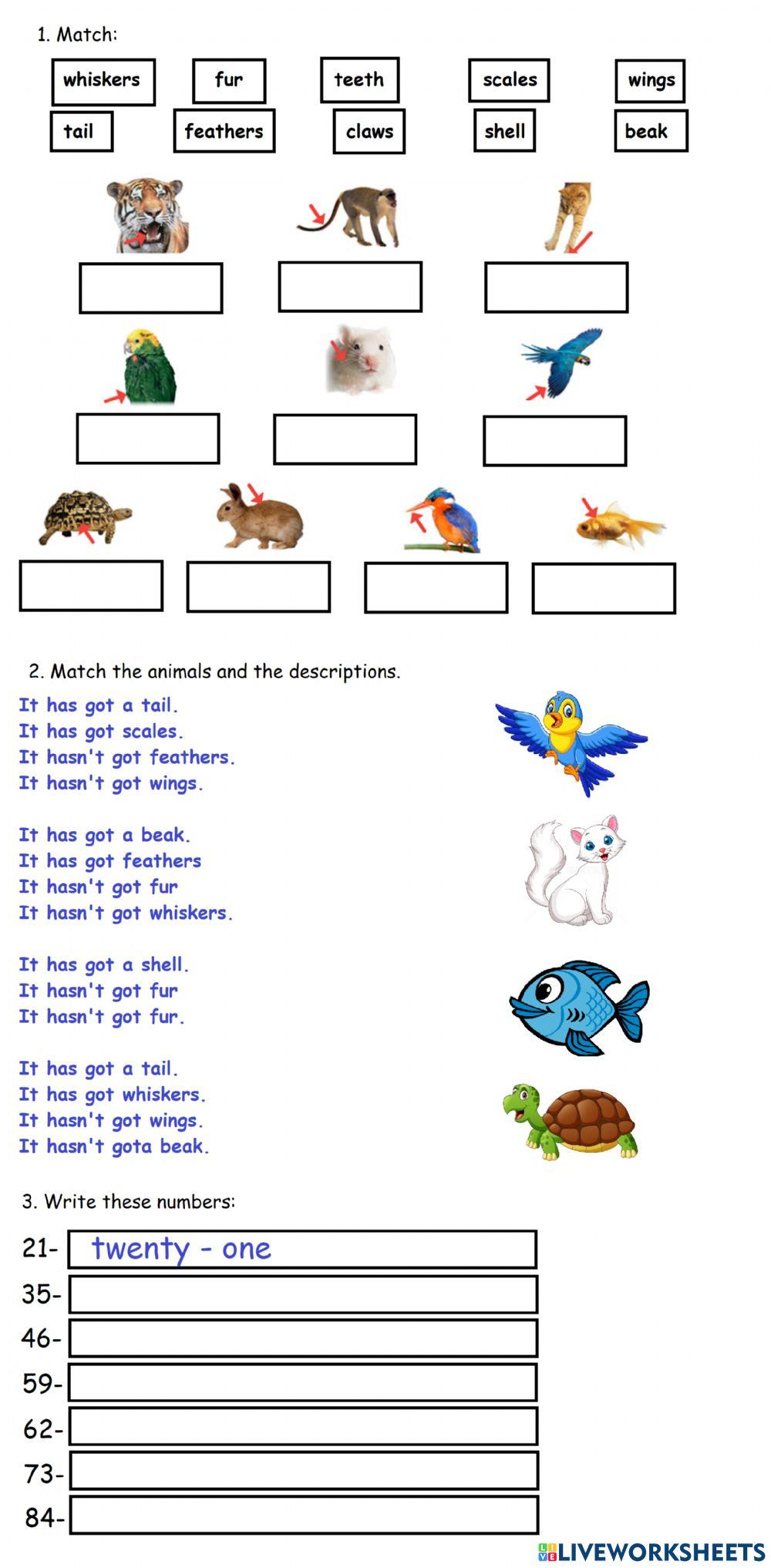 EN3-U2-Animal-description worksheet | Live Worksheets