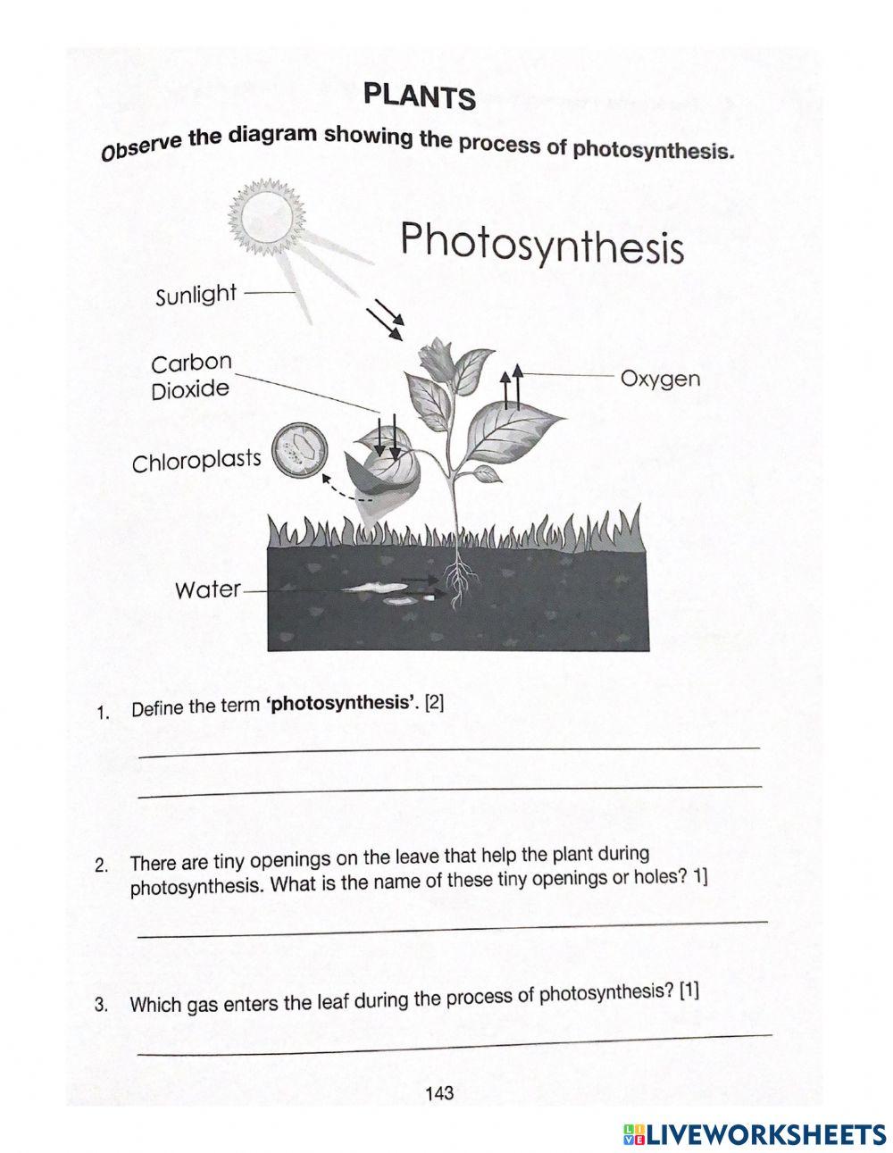 Science online exercise for 5 | Live Worksheets