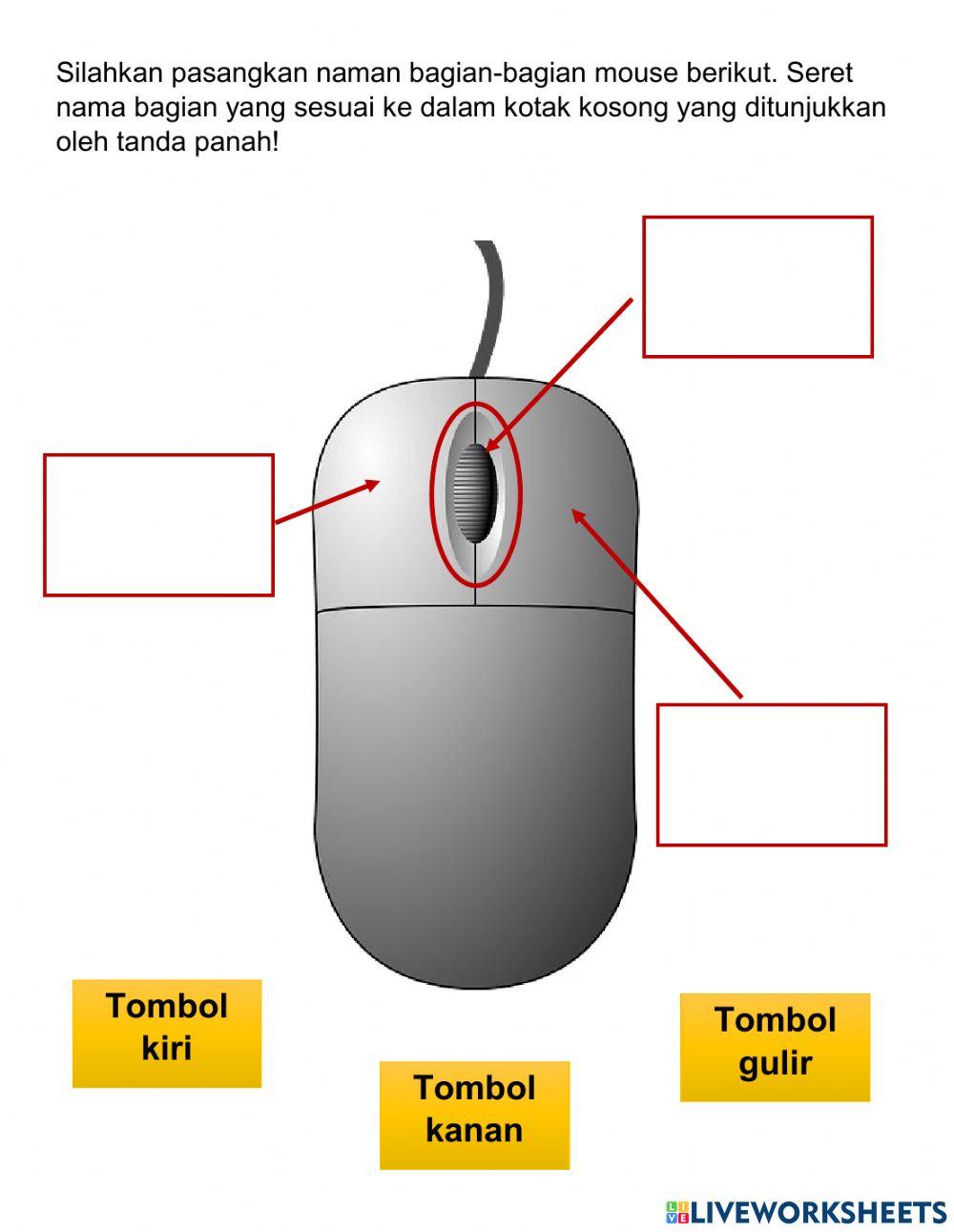 Bagian-Bagian Mouse worksheet | Live Worksheets