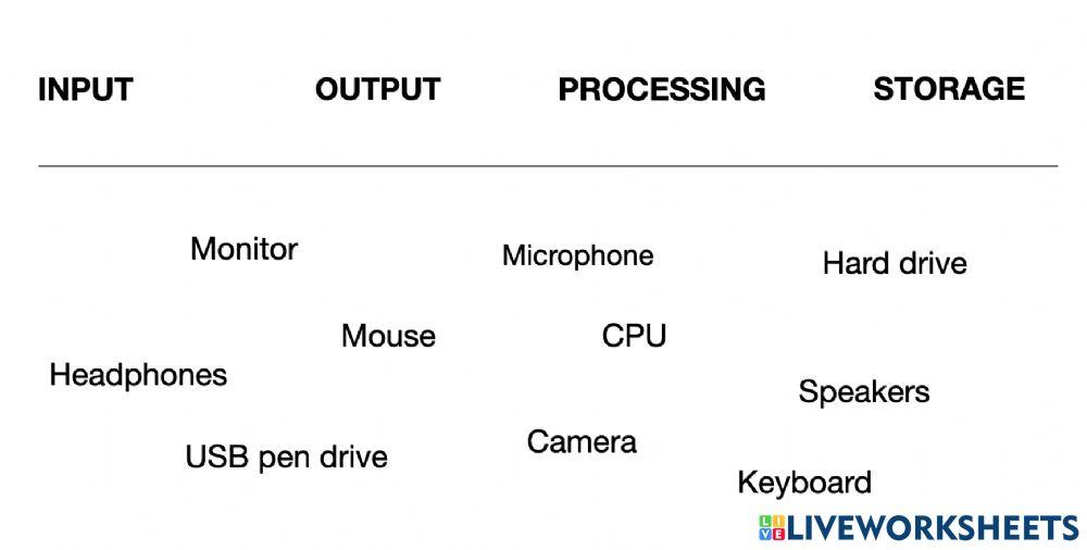 Input Output Process Storage Online Exercise For Live Worksheets