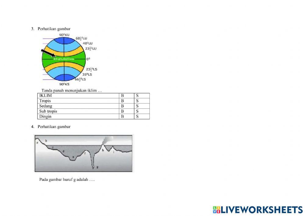 Ips online exercise for 7 | Live Worksheets
