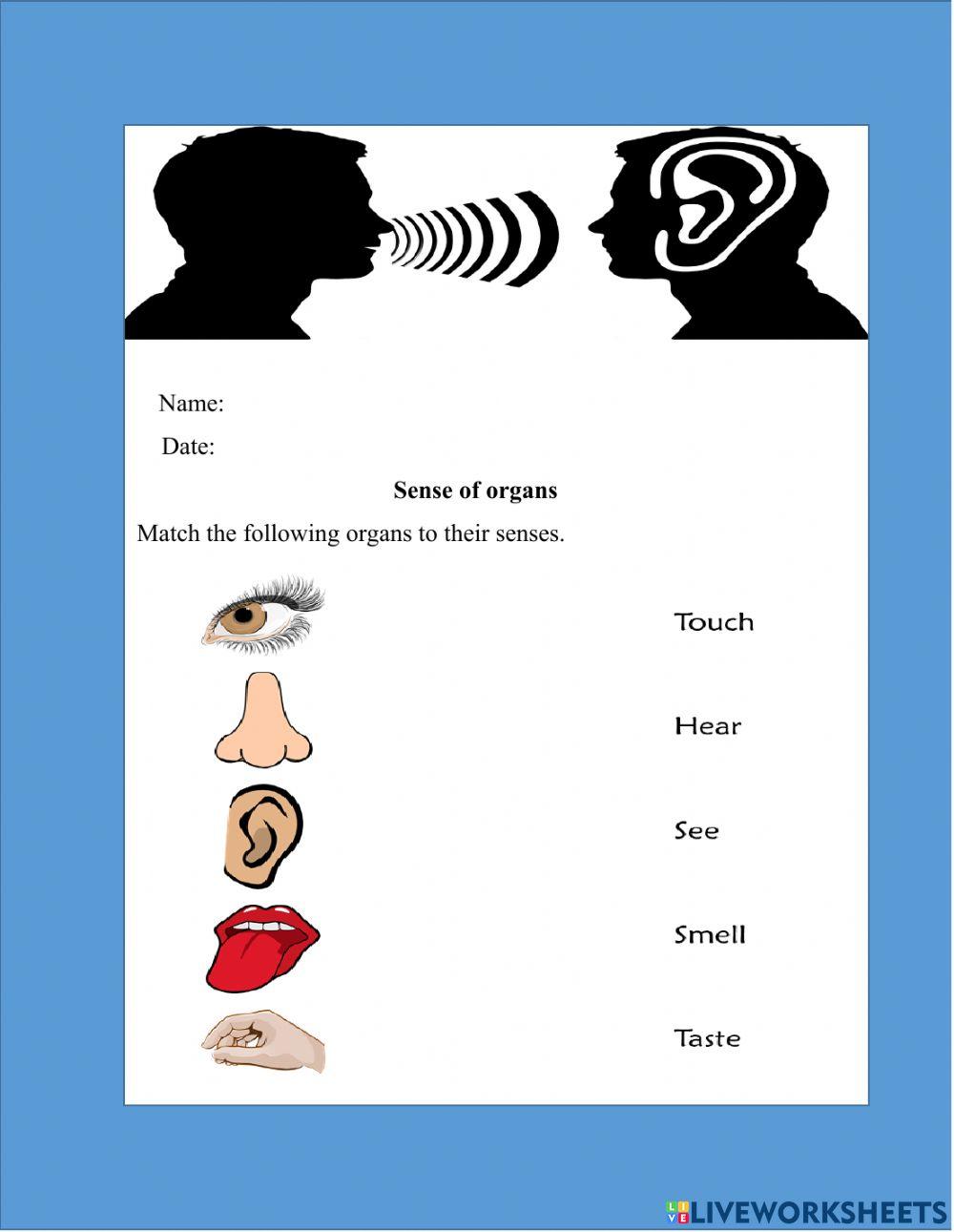 Sense Organs online exercise for | Live Worksheets