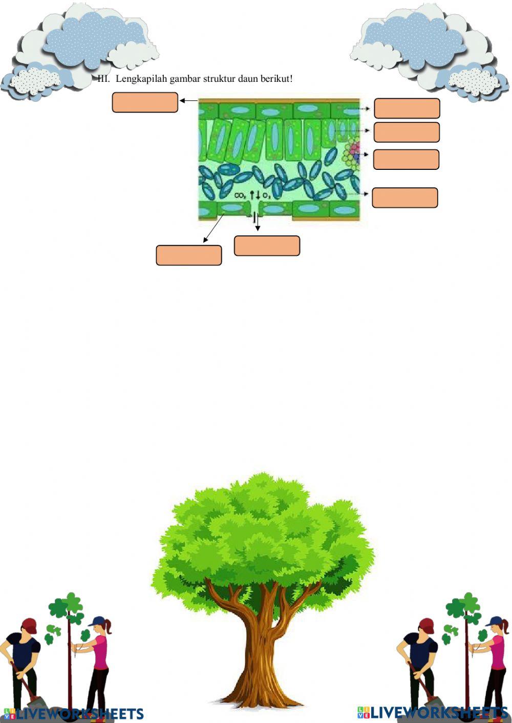 Model Pembelajaran IPA SD worksheet | Live Worksheets