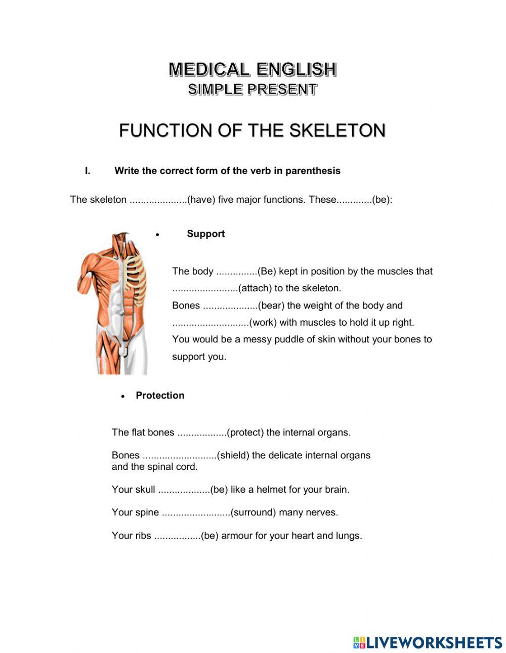 The skeleton free exercise | Live Worksheets