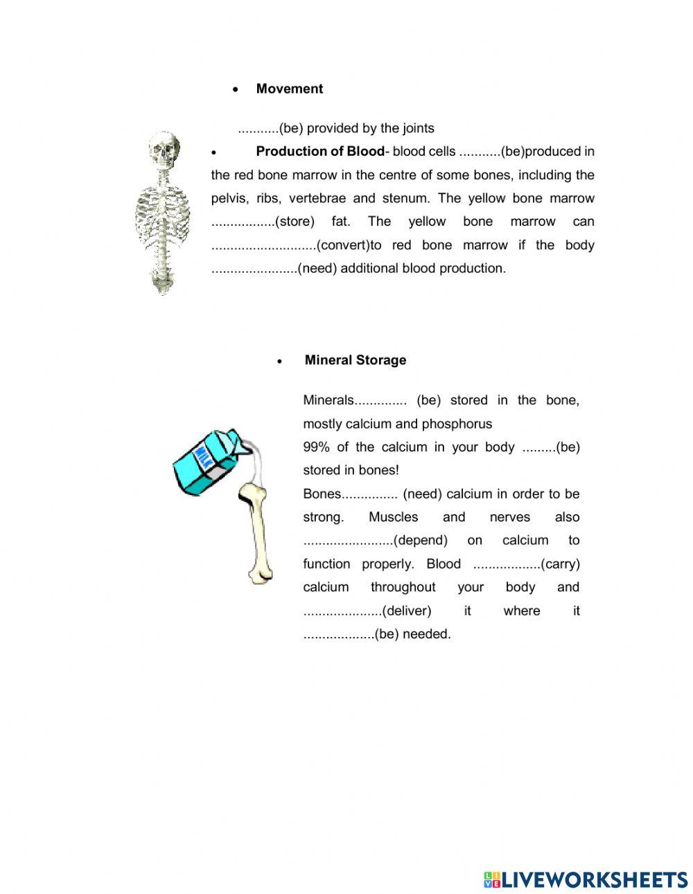 The skeleton free exercise | Live Worksheets