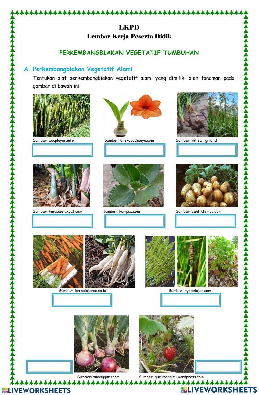 Model Pembelajaran IPA SD interactive worksheet | Live Worksheets
