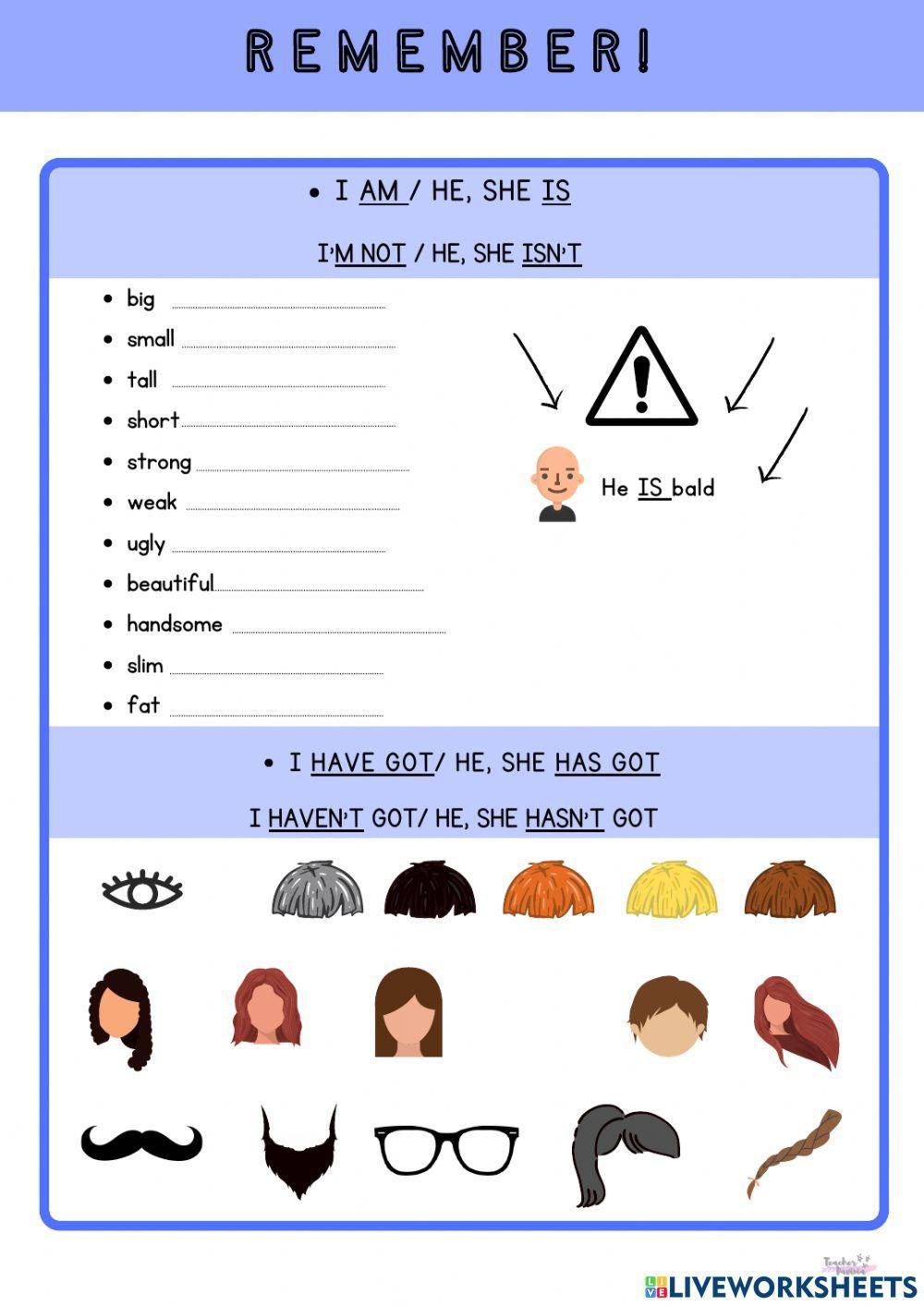 Physical appear… | Free Interactive Worksheets | 1605226