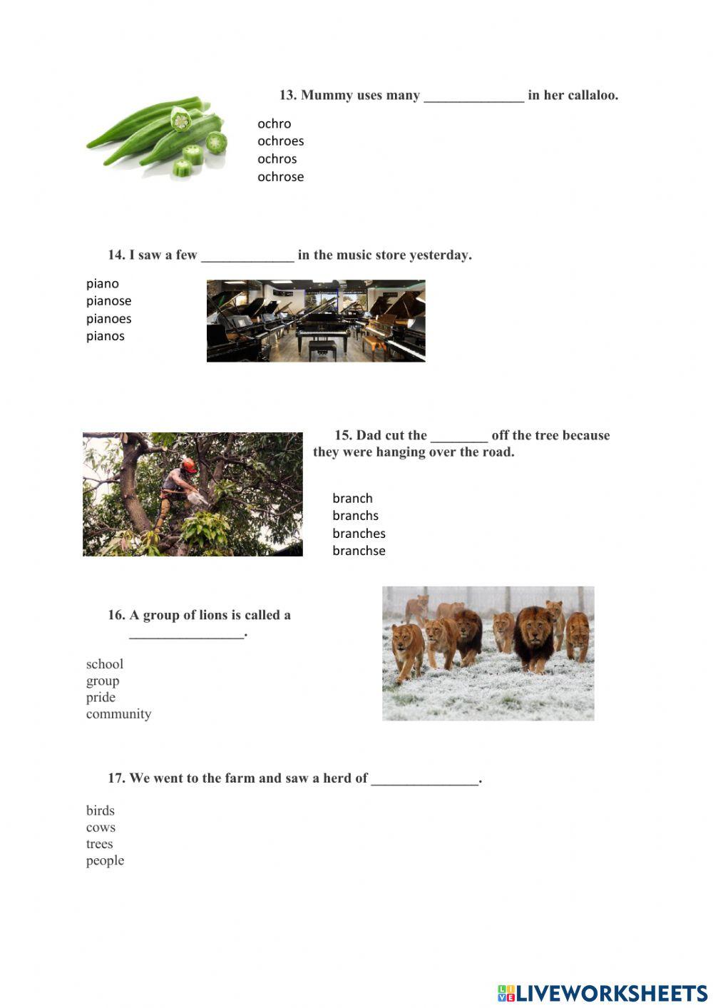 Std 2 Grammar test November 2021 5231077 | JDYoung