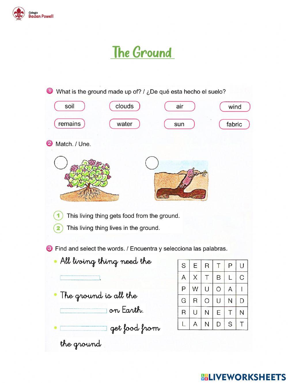 The ground worksheet | Live Worksheets