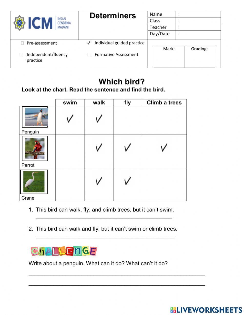 Determiners free online worksheet | Live Worksheets