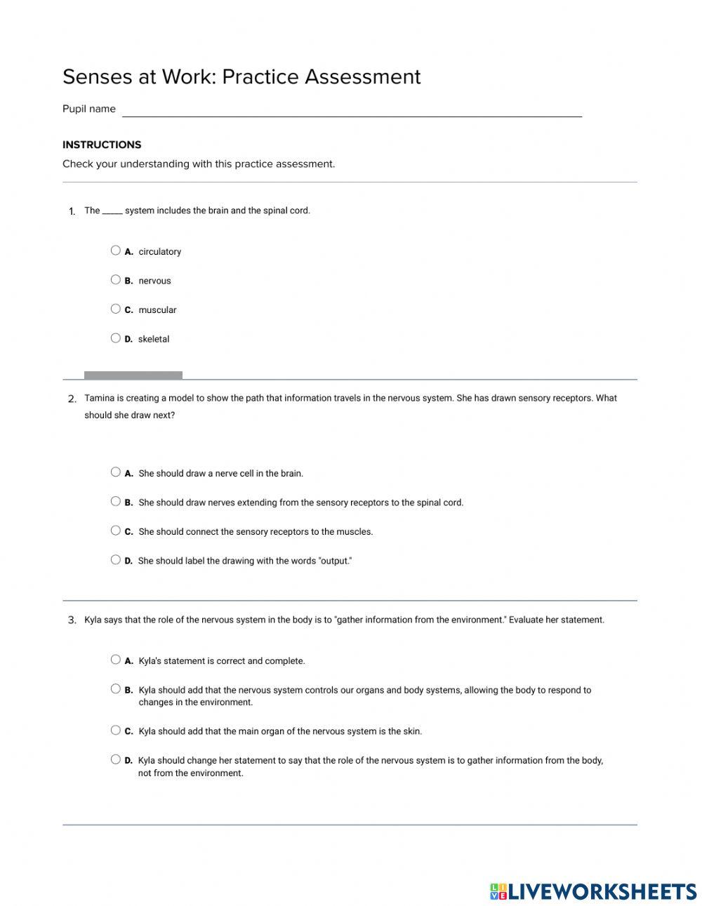 Sensory at work worksheet | Live Worksheets