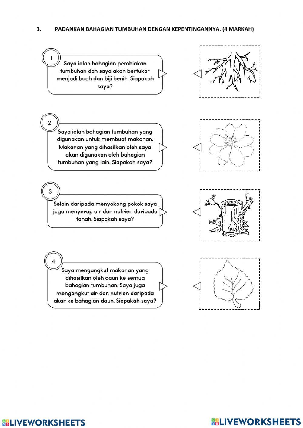 Model pembelajaran Ipa sd 1608179 | MasykurAlBanin | Live