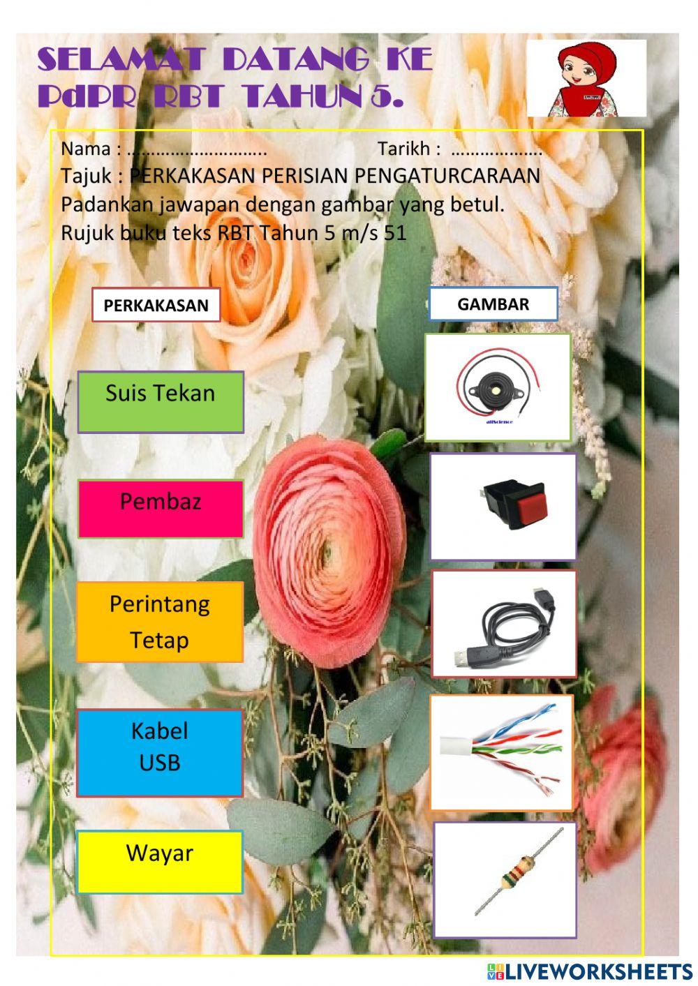 Perkakasan Perisian Pengaturcaraan RBT T5 worksheet | Live Worksheets