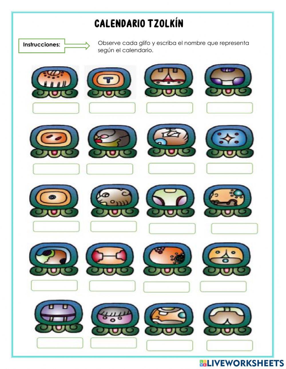 Calendario Tzolkín worksheet | Live Worksheets