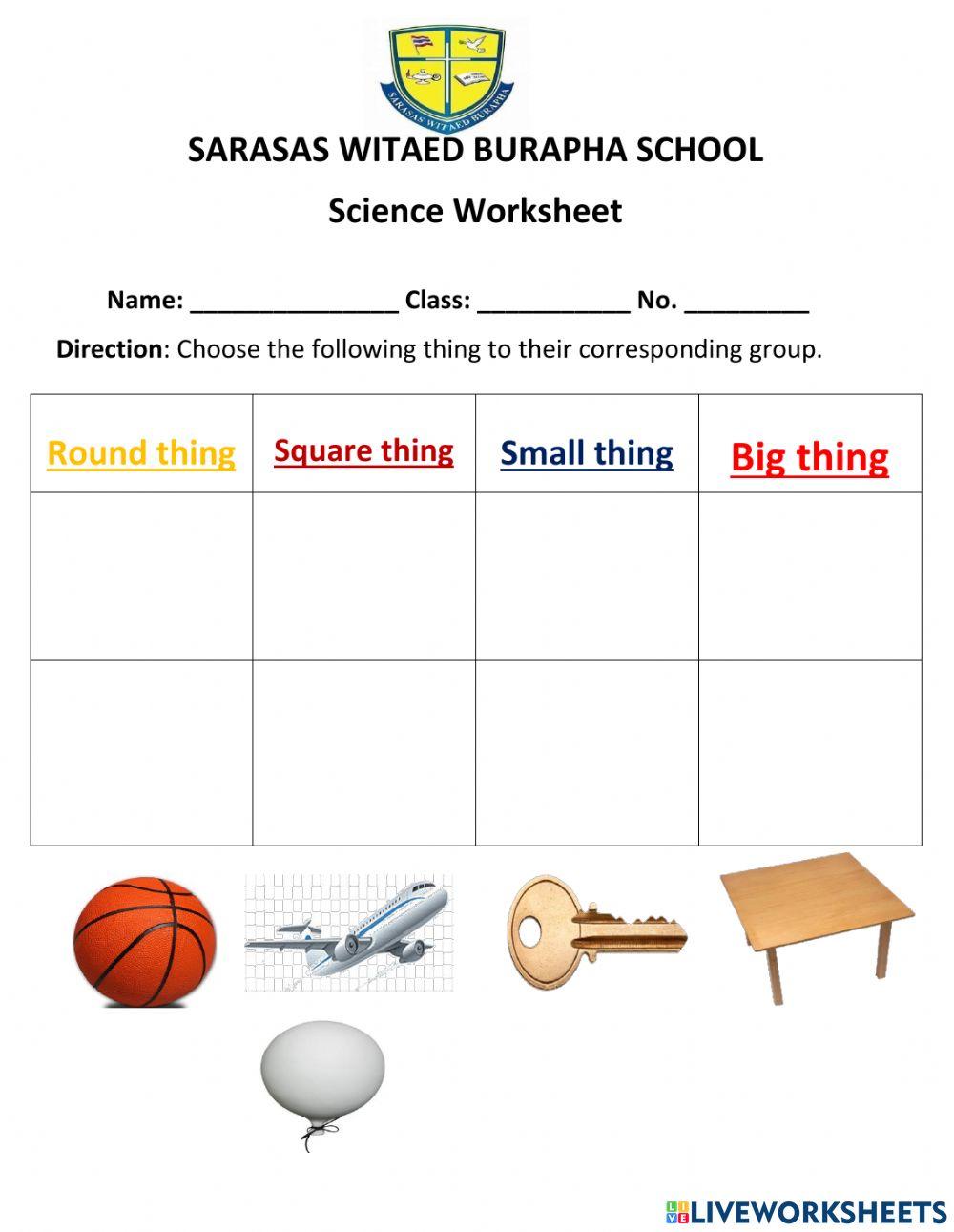 Week 2 activity 2:things worksheet | Live Worksheets