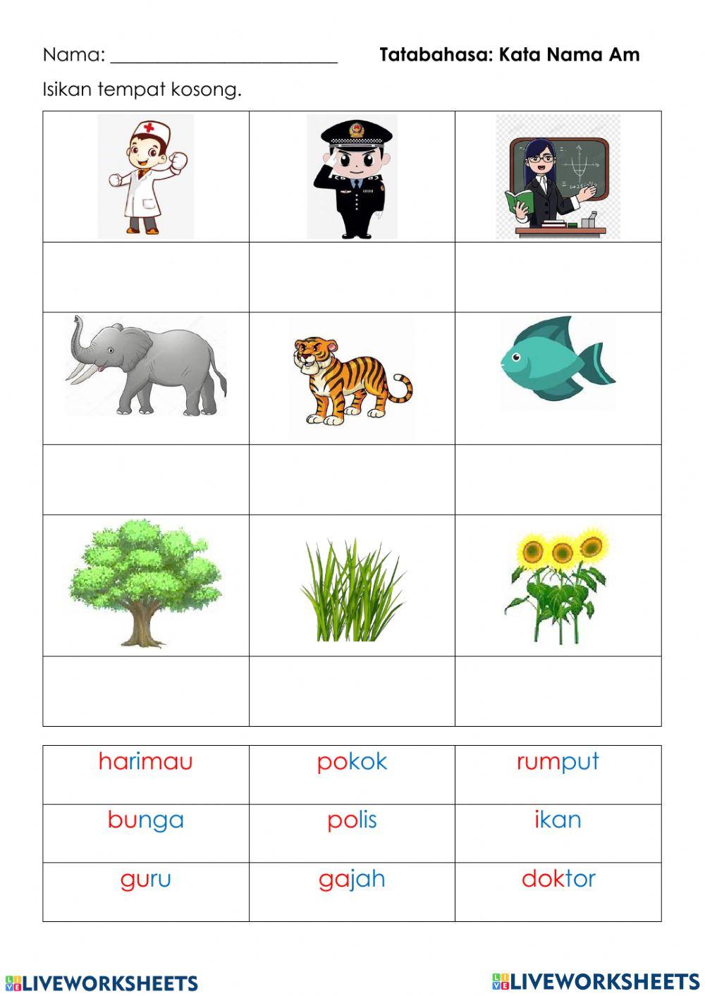 BM Kata nama am tahun 1 5232555 | TAN SHIN TEE