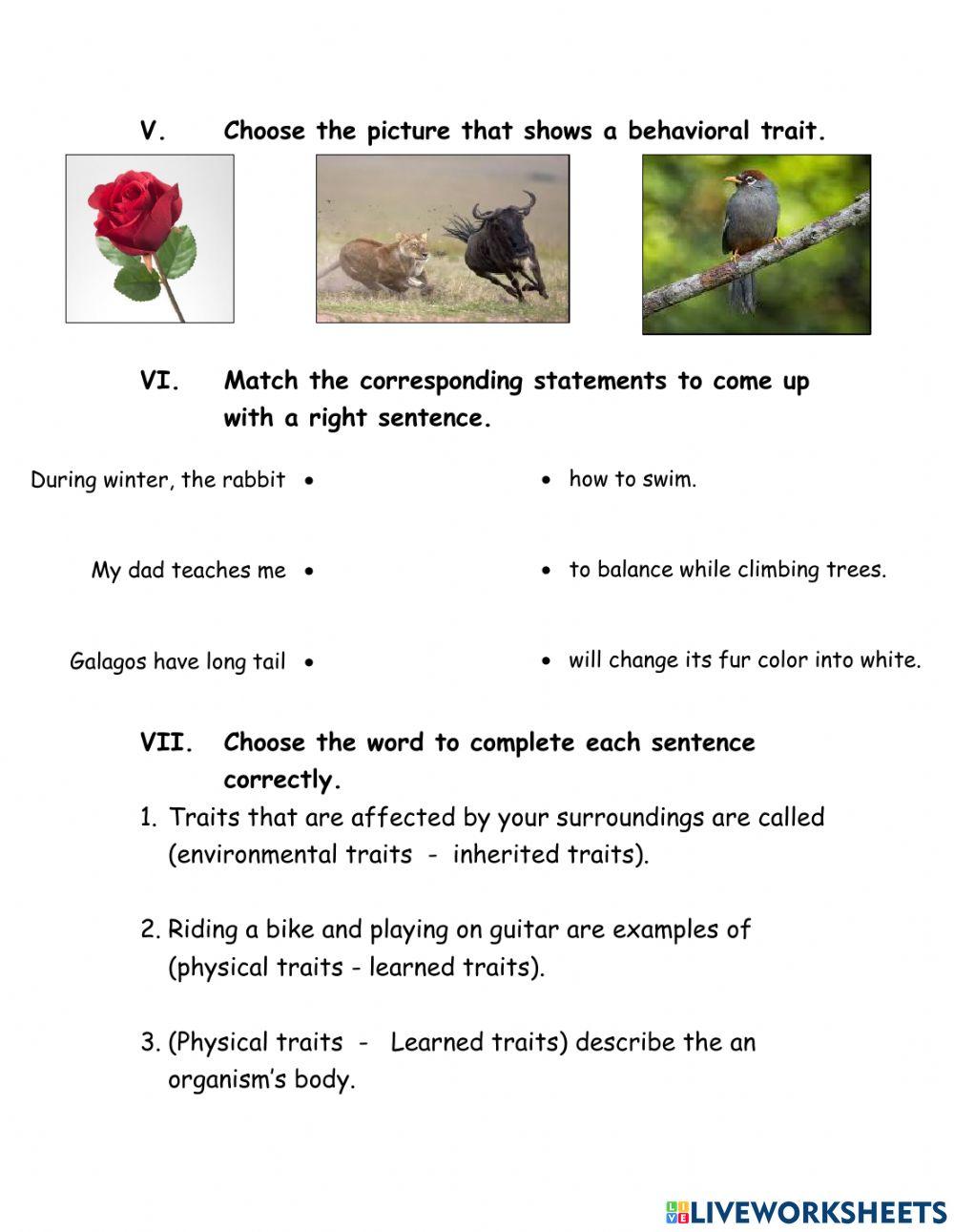 G3-U4-M2-L2: REVISION WORKSHEET-LIVE WORKSHEET online exercise for ...