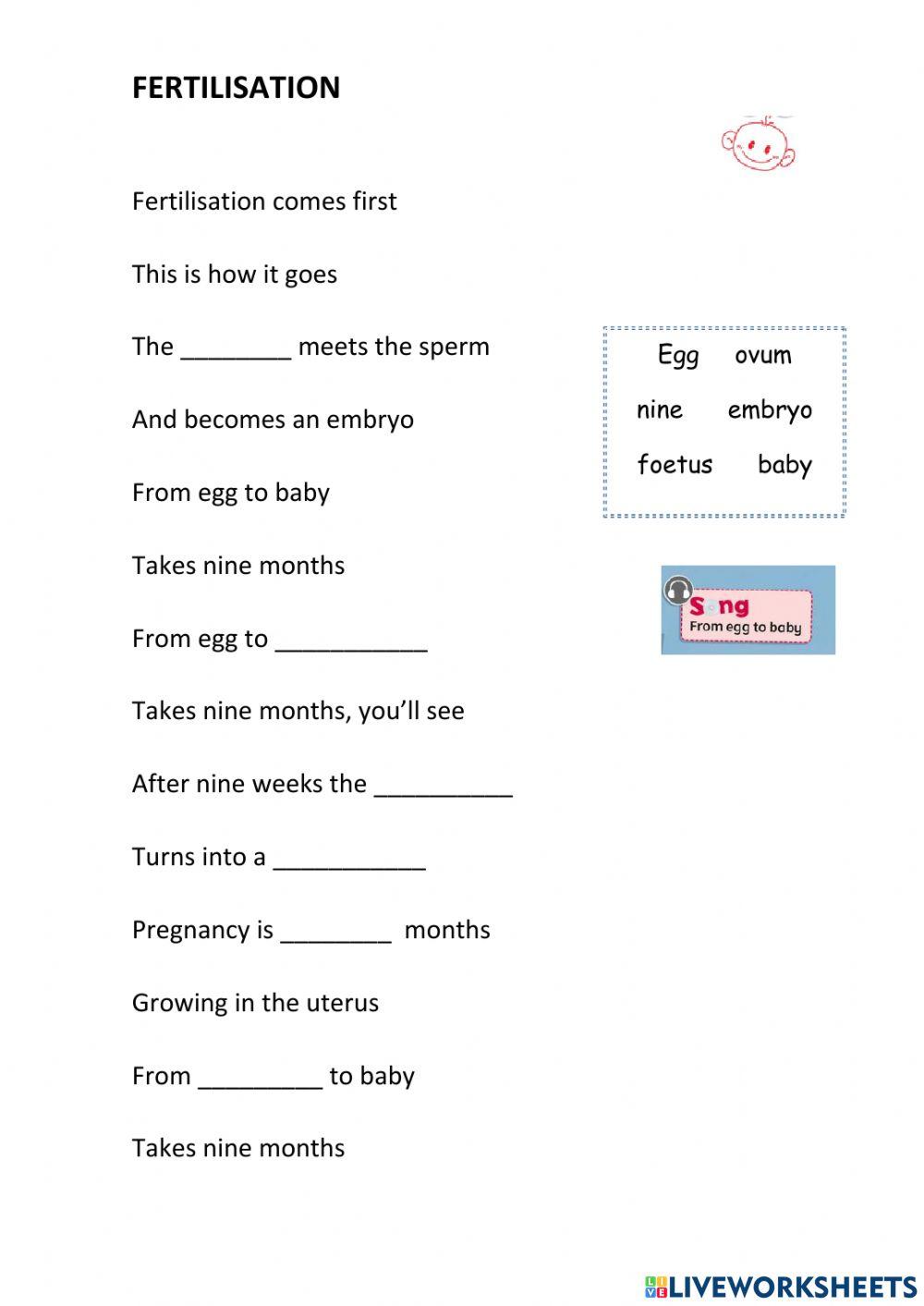 1613419 Fertilisation Inmasanz Liveworksheets