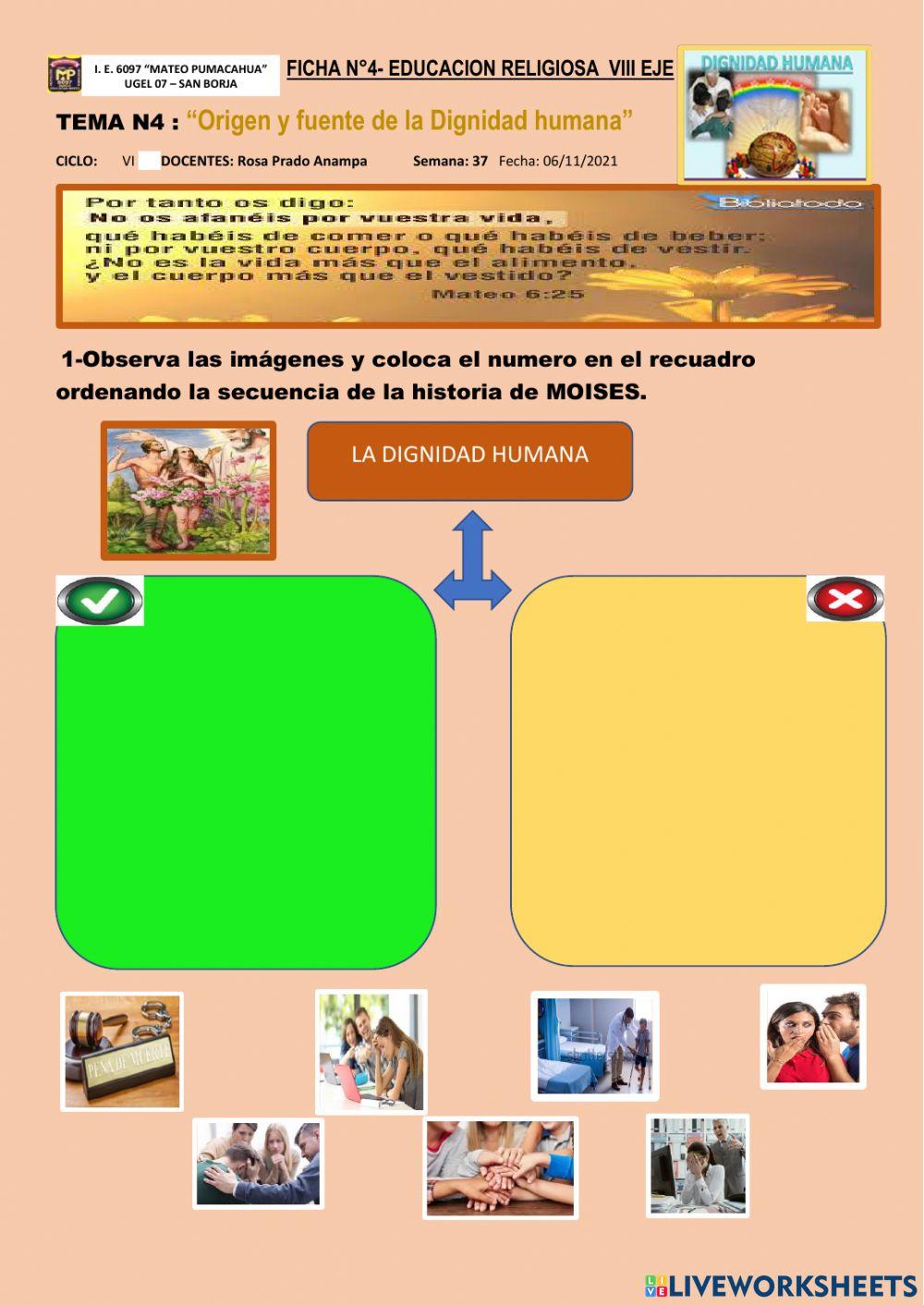 La dignidad hum… | Free Interactive Worksheets | 1614869