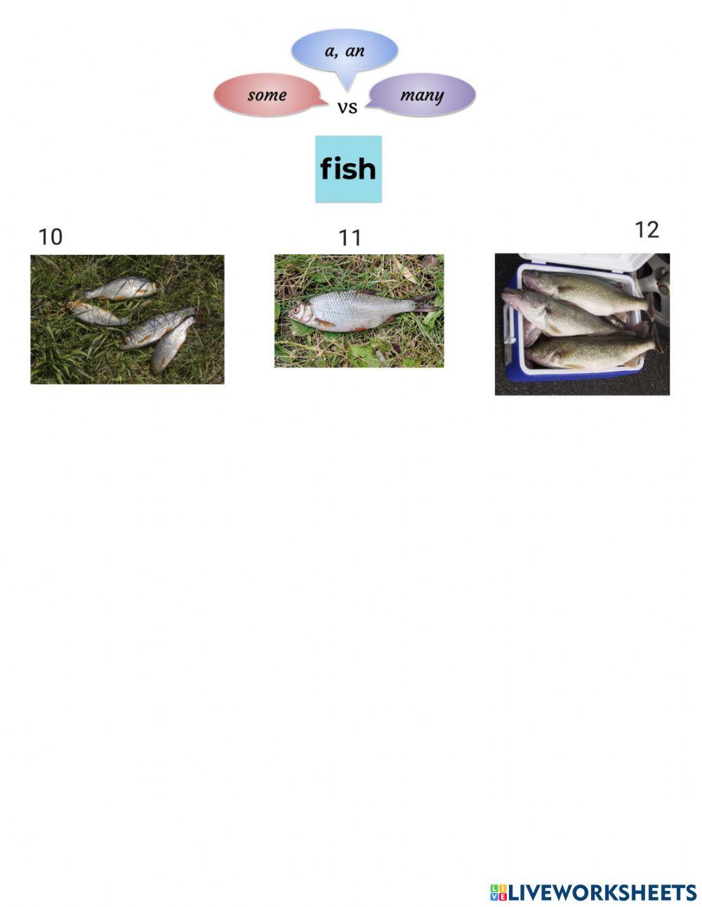 Quantity Expressions Practice 1 worksheet | Live Worksheets
