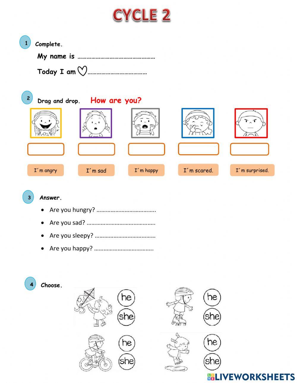 Cycle two worksheet | Live Worksheets