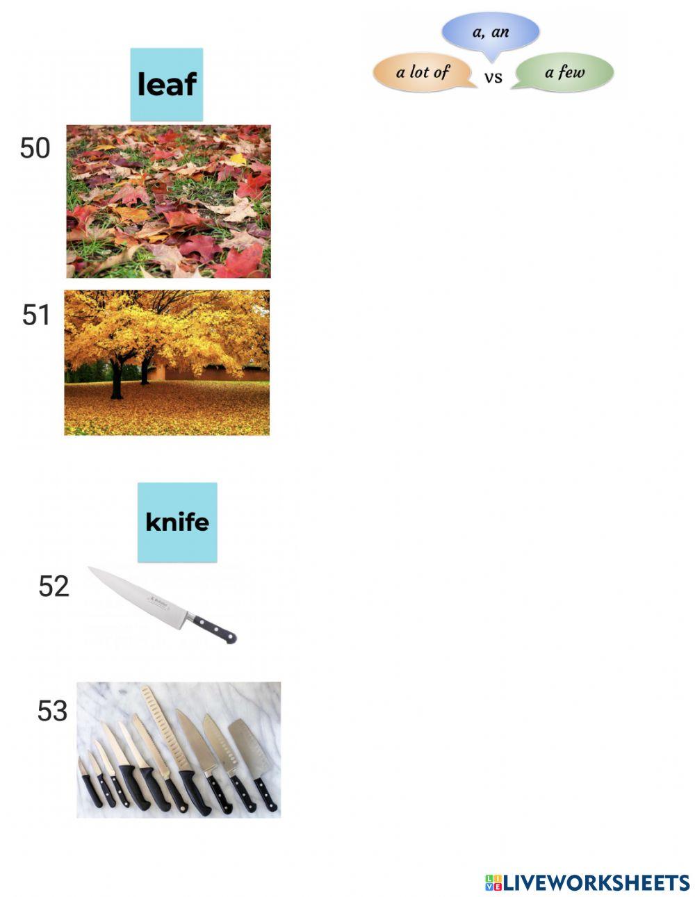 Quantity Expressions Independent Practice 3 worksheet | Live Worksheets