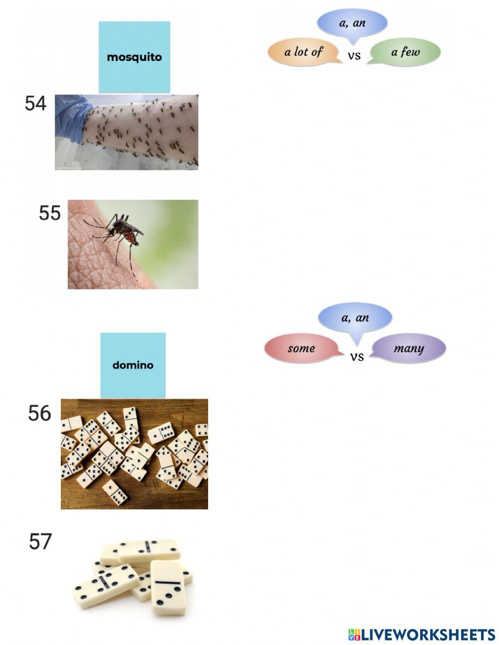 Quantity Expressions Independent Practice 3 worksheet | Live Worksheets
