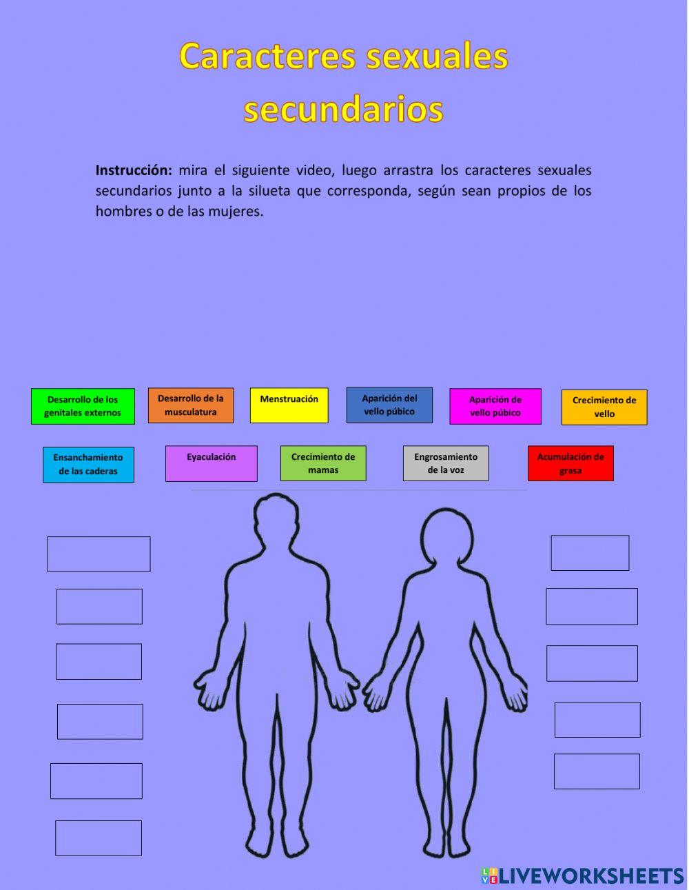 Caracteres sexuales secundarios online exercise for | Live Worksheets