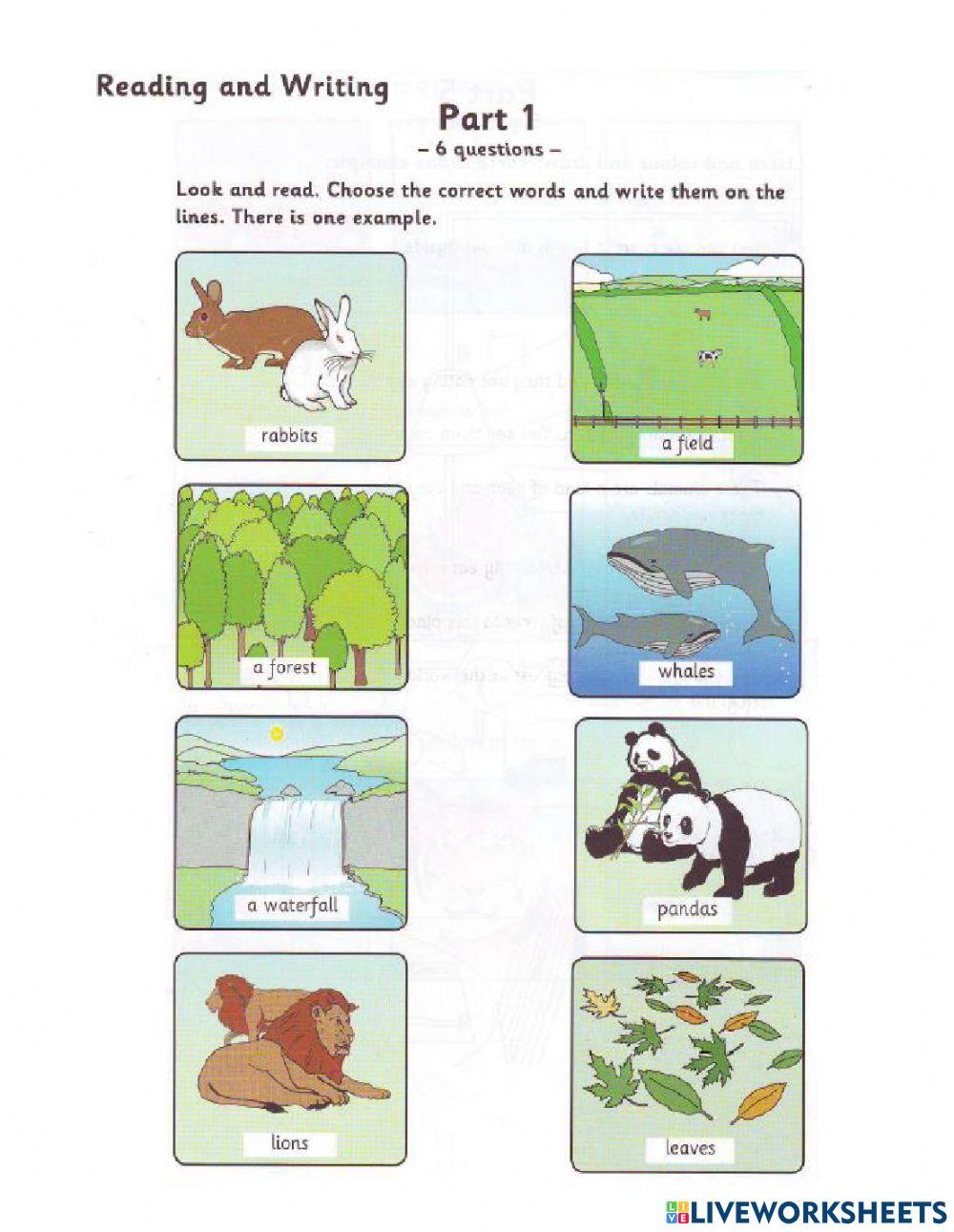 A1-CYCLE VIII-READING AND WRITING 0820 | sweetgirl1779