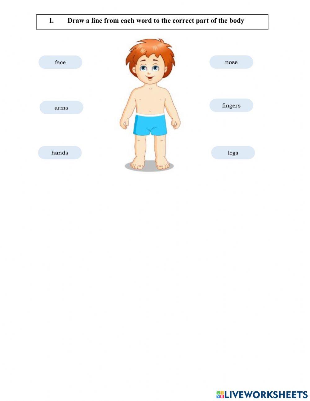 1617222 | Unit 5 : This is my nose | thuhuongpham_192