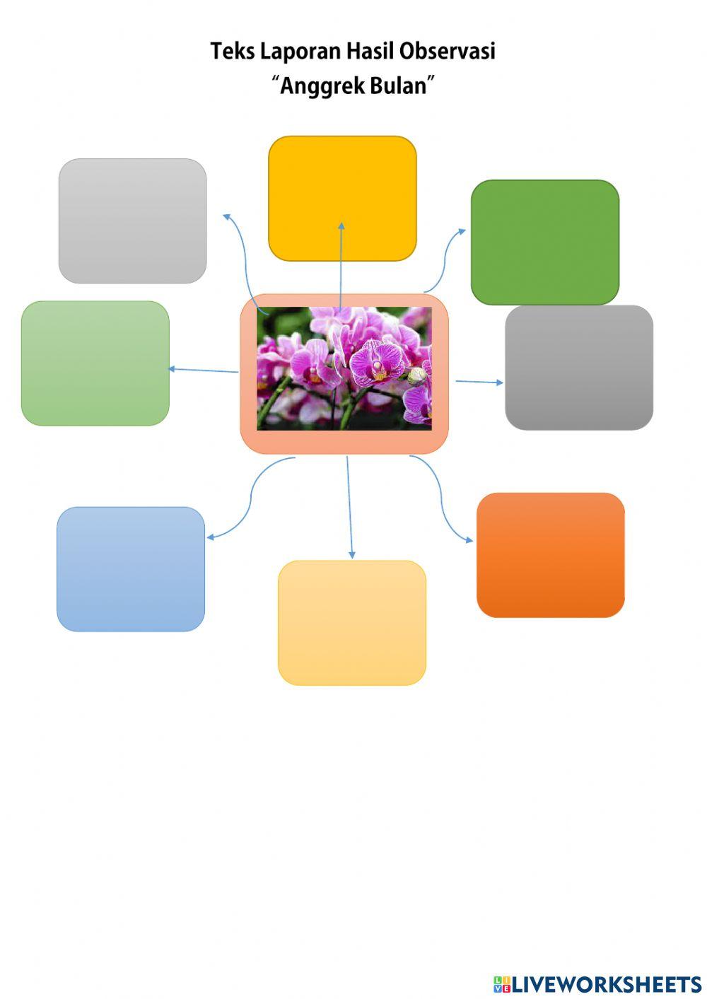 Teks LHO | Free Interactive Worksheets | 1617124