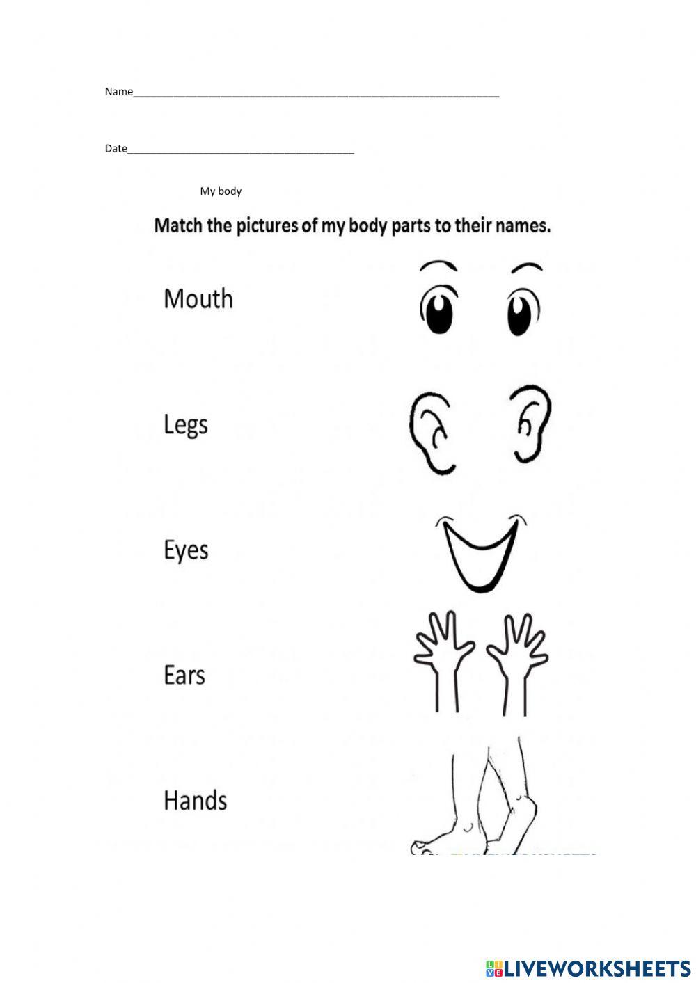 My body 1617949 | kelkydd | Live Worksheets