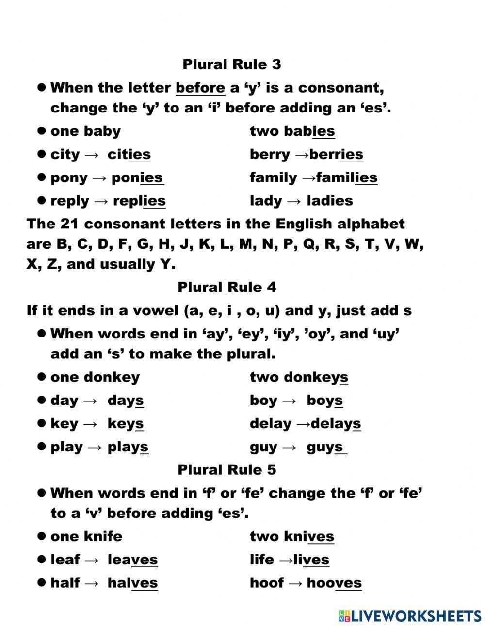 Plural Rules | Lidstar | Live Worksheets