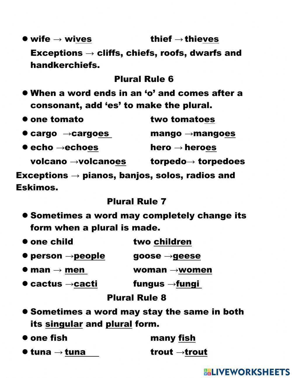 Plural Rules | Lidstar | Live Worksheets