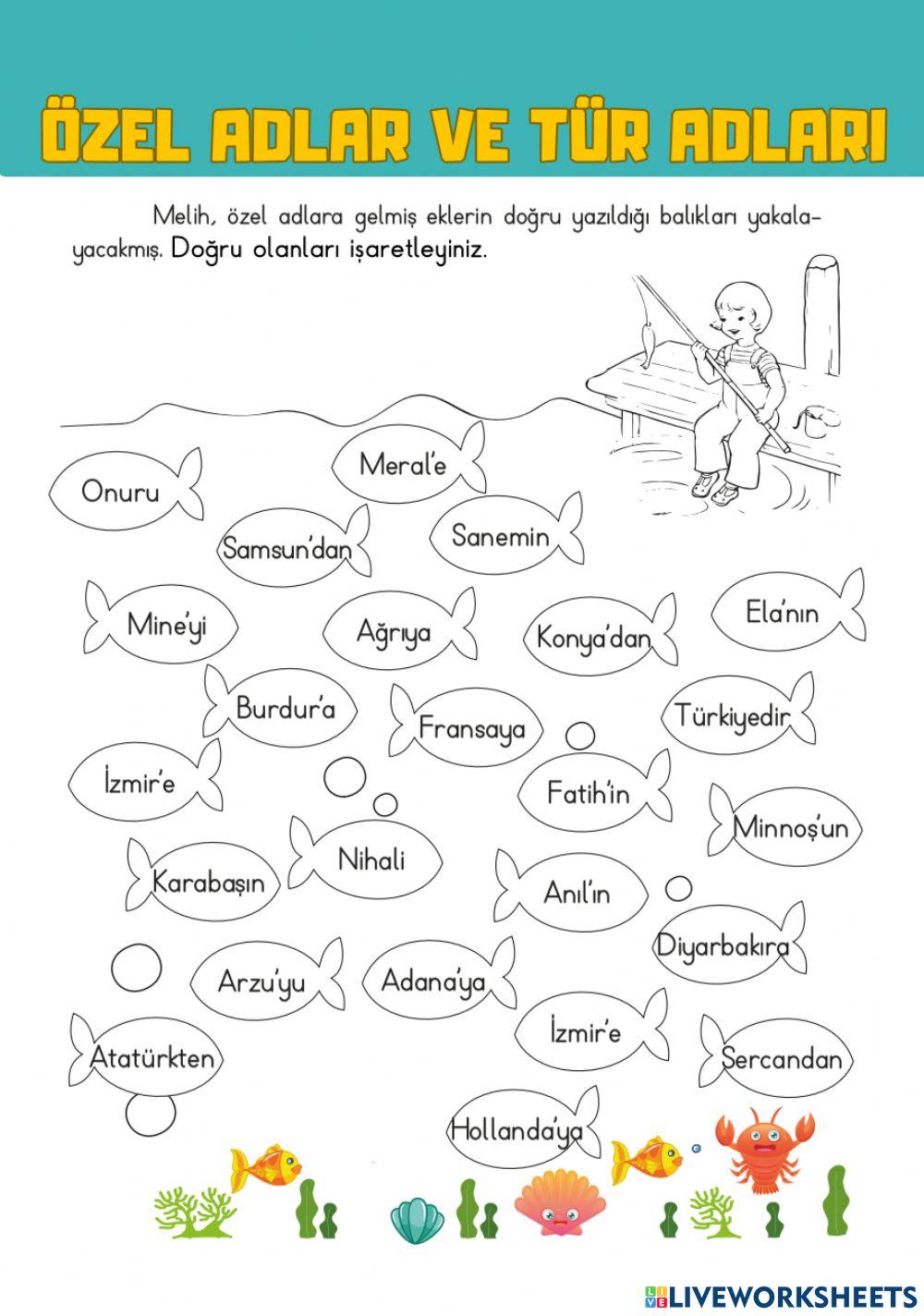 Özel Adlar ve T… | Free Interactive Worksheets | 1619375