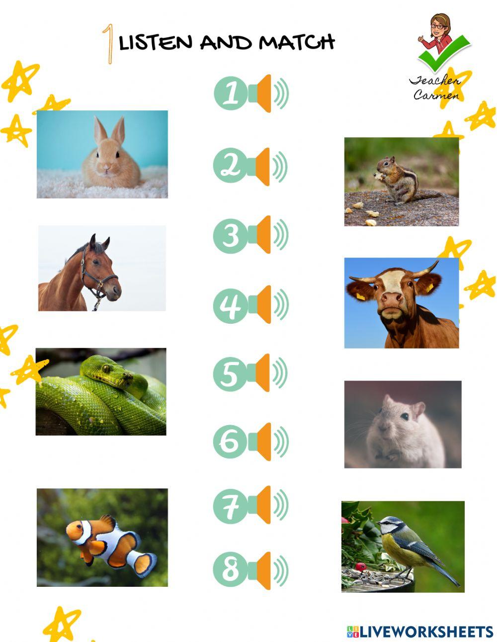 1623842 | Animals | CARMENAM | LiveWorksheets