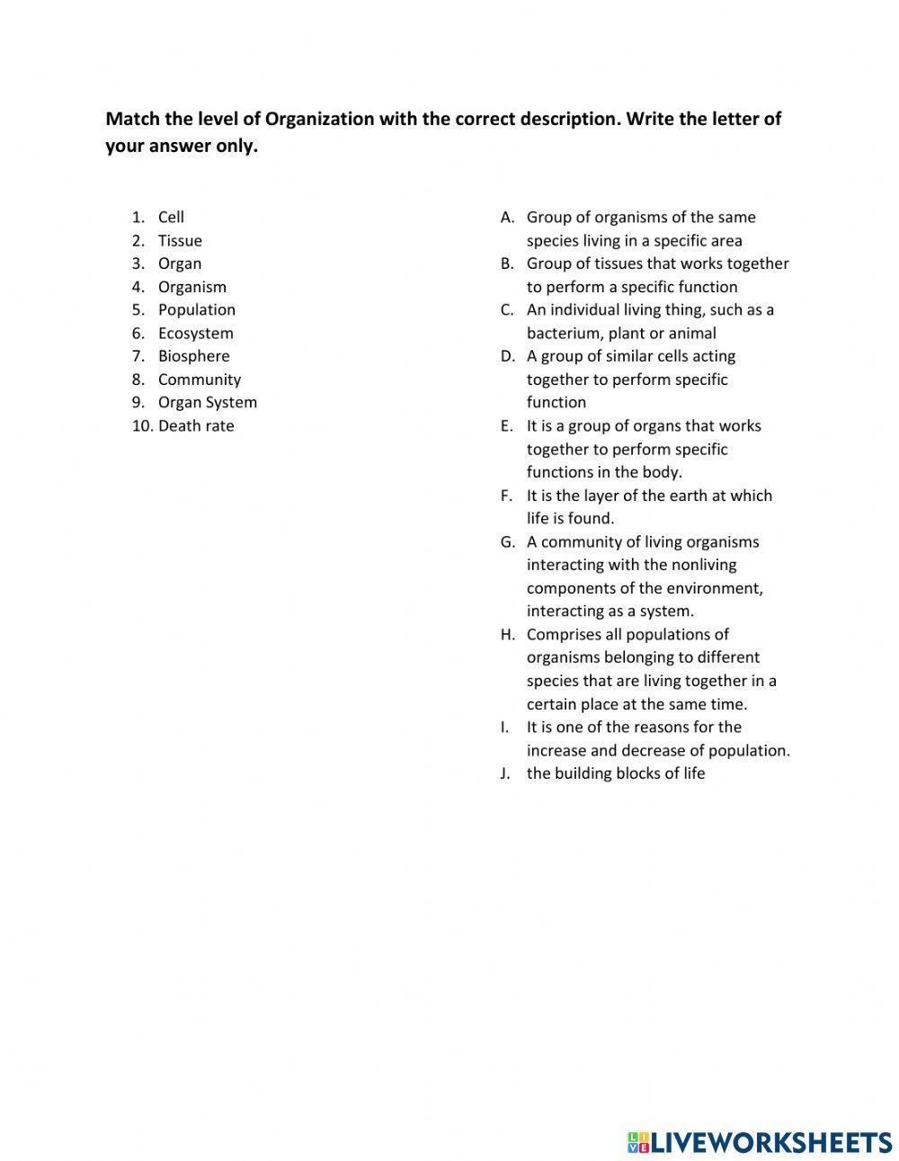 1697850 | Matching Type | JaysonMacalos | LiveWorksheets