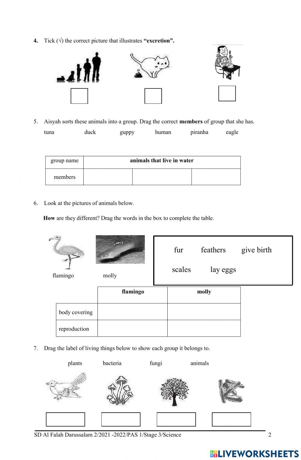 PAS SCIENCE KLS 3 ICP ONLINE online exercise for | Live Worksheets