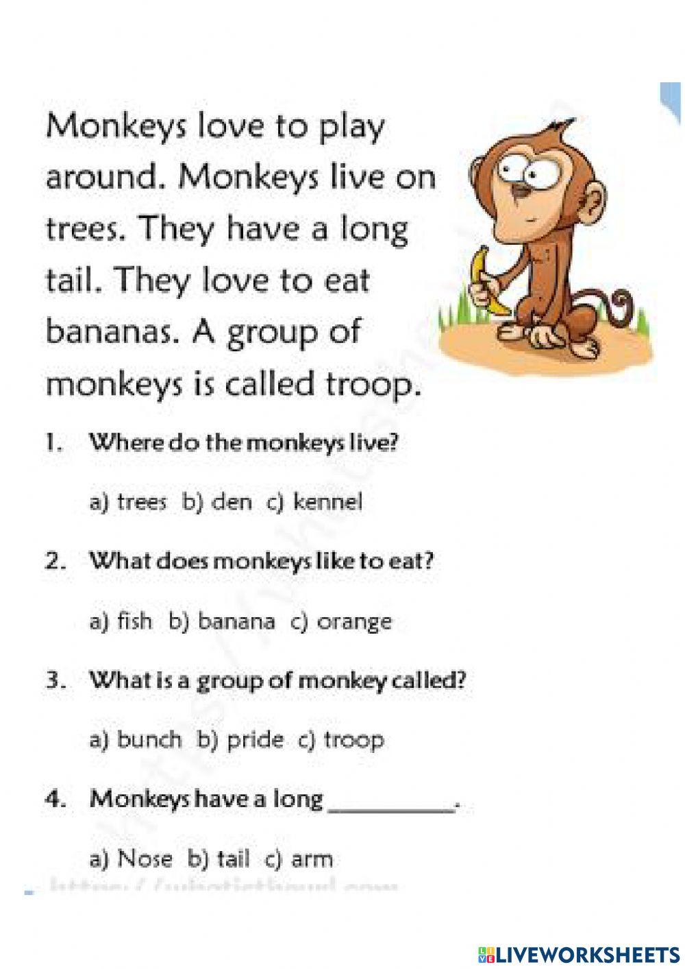 Passage (Monkey) online exercise for | Live Worksheets