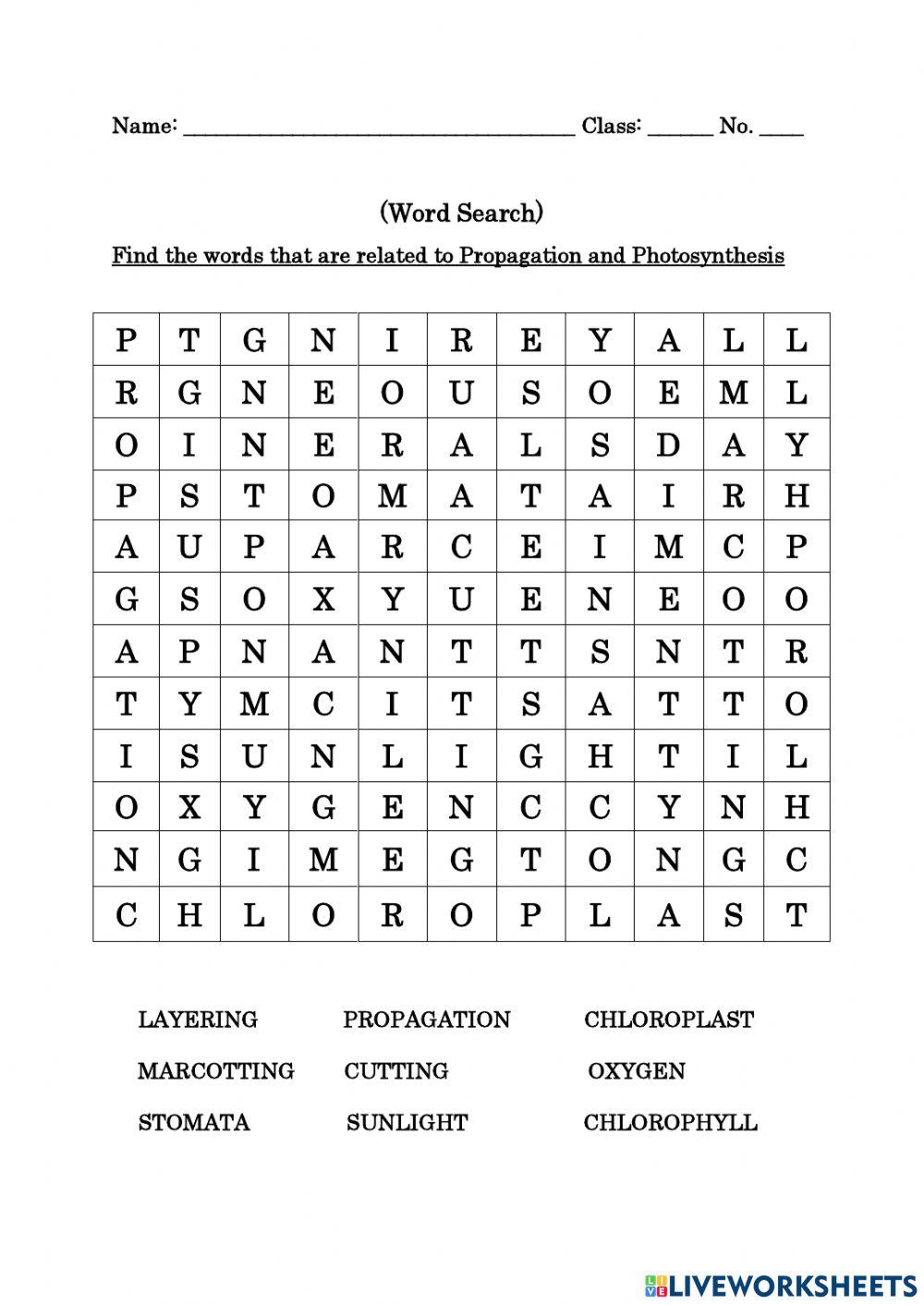 GRADE 6 ACTIVITY online exercise for | Live Worksheets