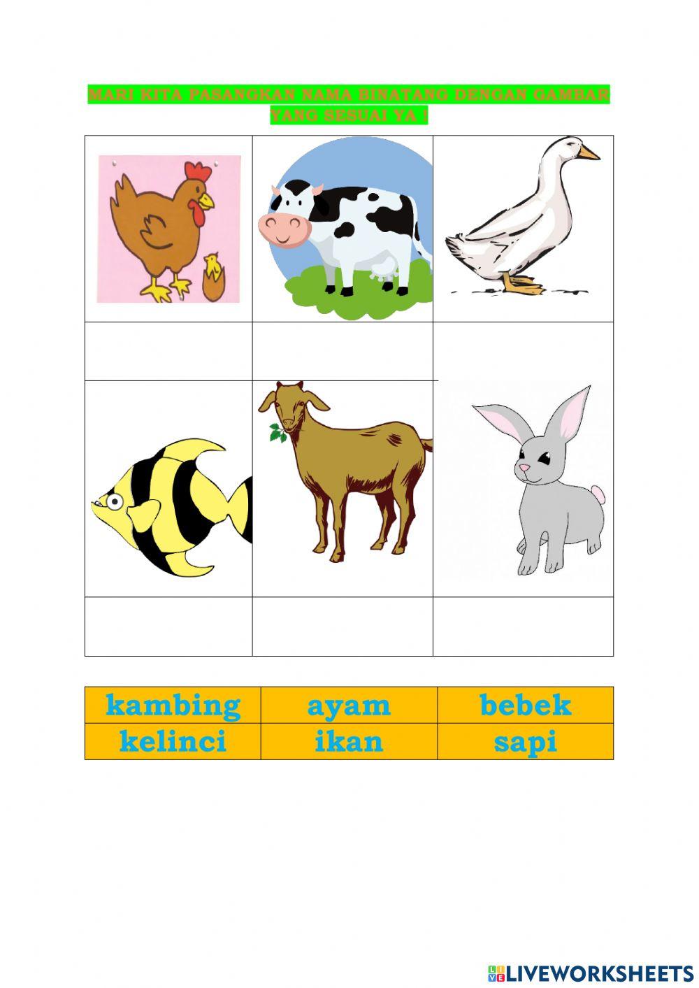 Mengenal binatang interactive worksheet | Live Worksheets