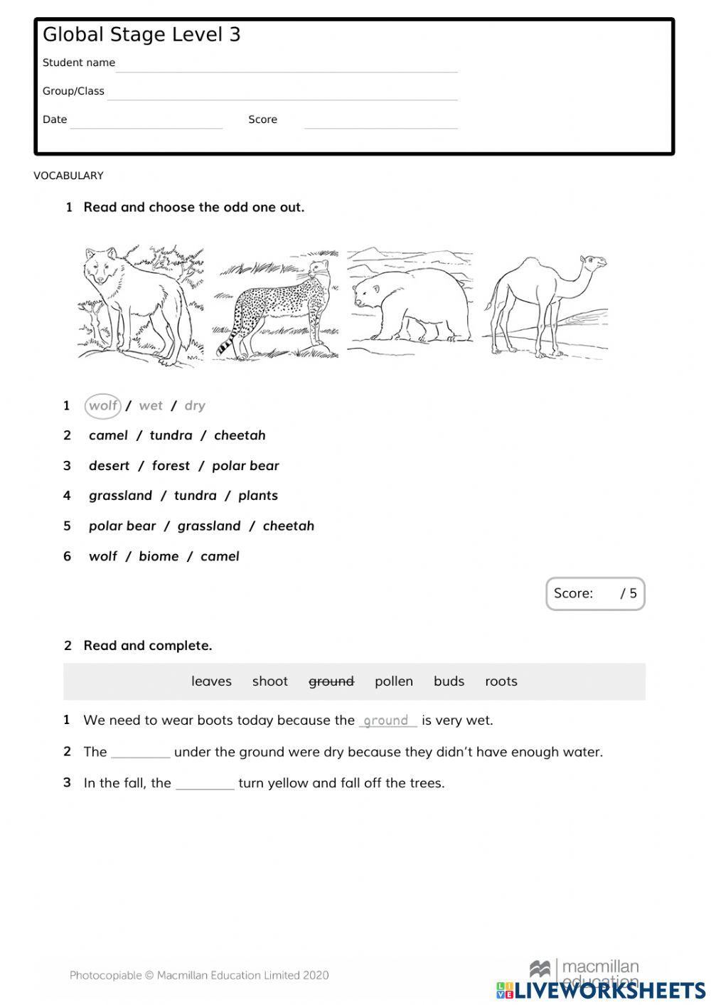 Stage 3 Revision test worksheet | Live Worksheets