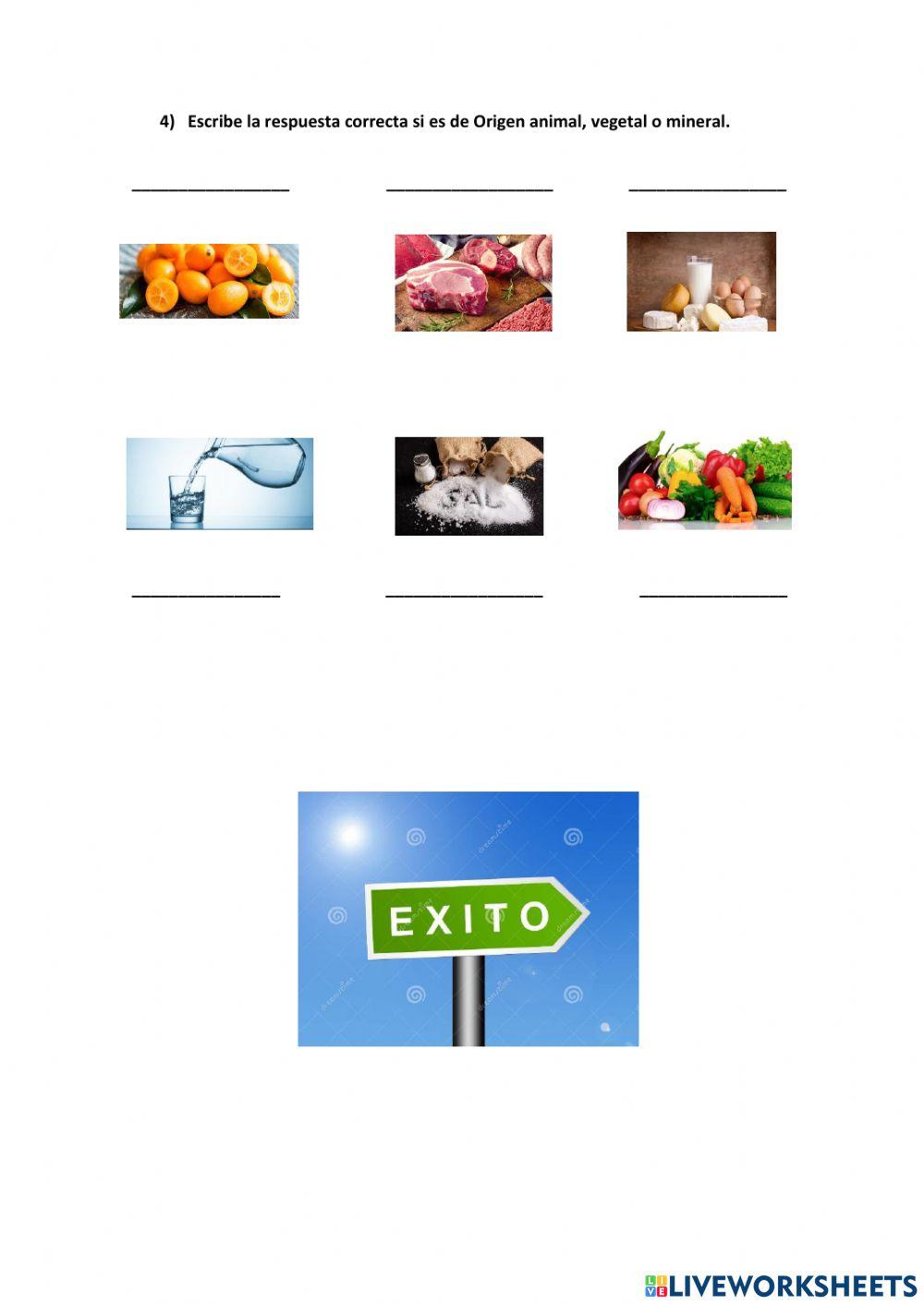 Ip iiq worksheet | Live Worksheets