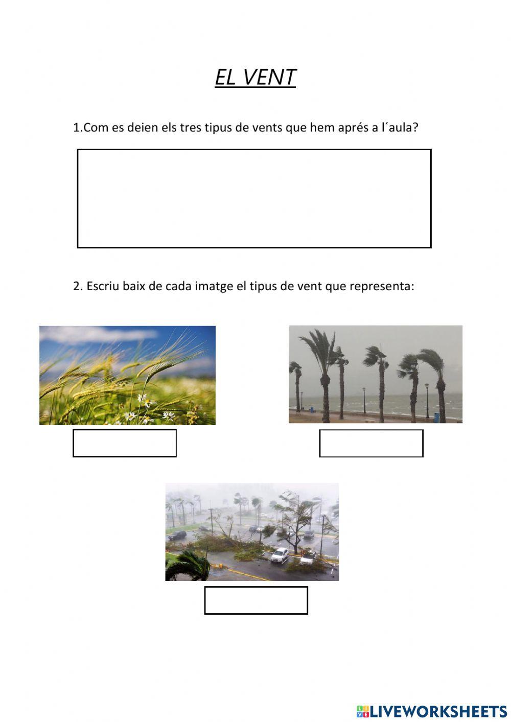 1700397 | El vent | Andrea87 | LiveWorksheets
