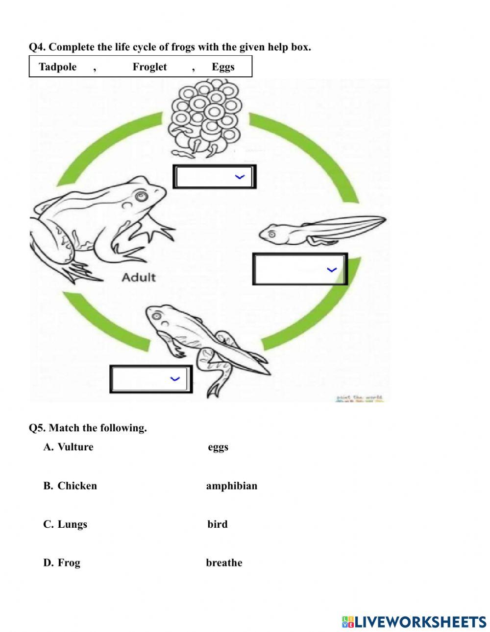 Science online exercise for 2 | Live Worksheets