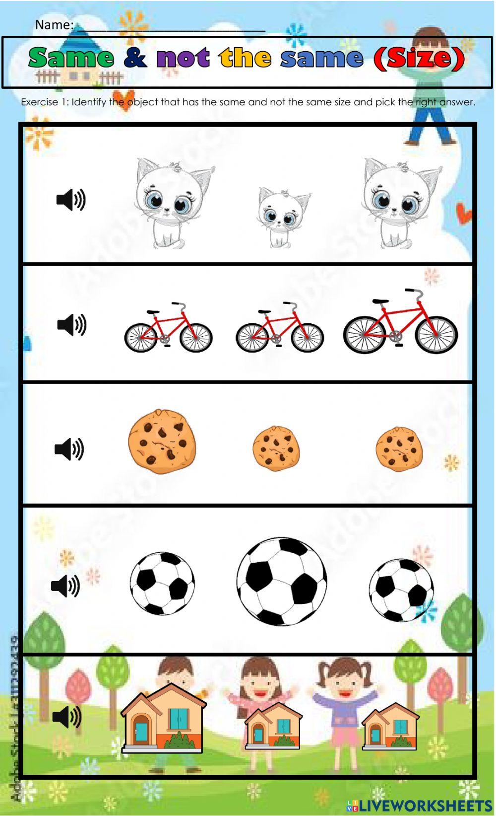 Same and not the same Size week 7 online exercise for | Live Worksheets